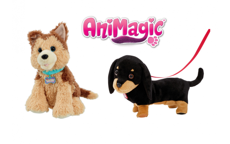 Win AniMagic Prizes! | Woman Magazine Competitions