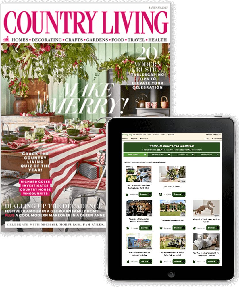 The Competition Platform - Country Living Media Pack